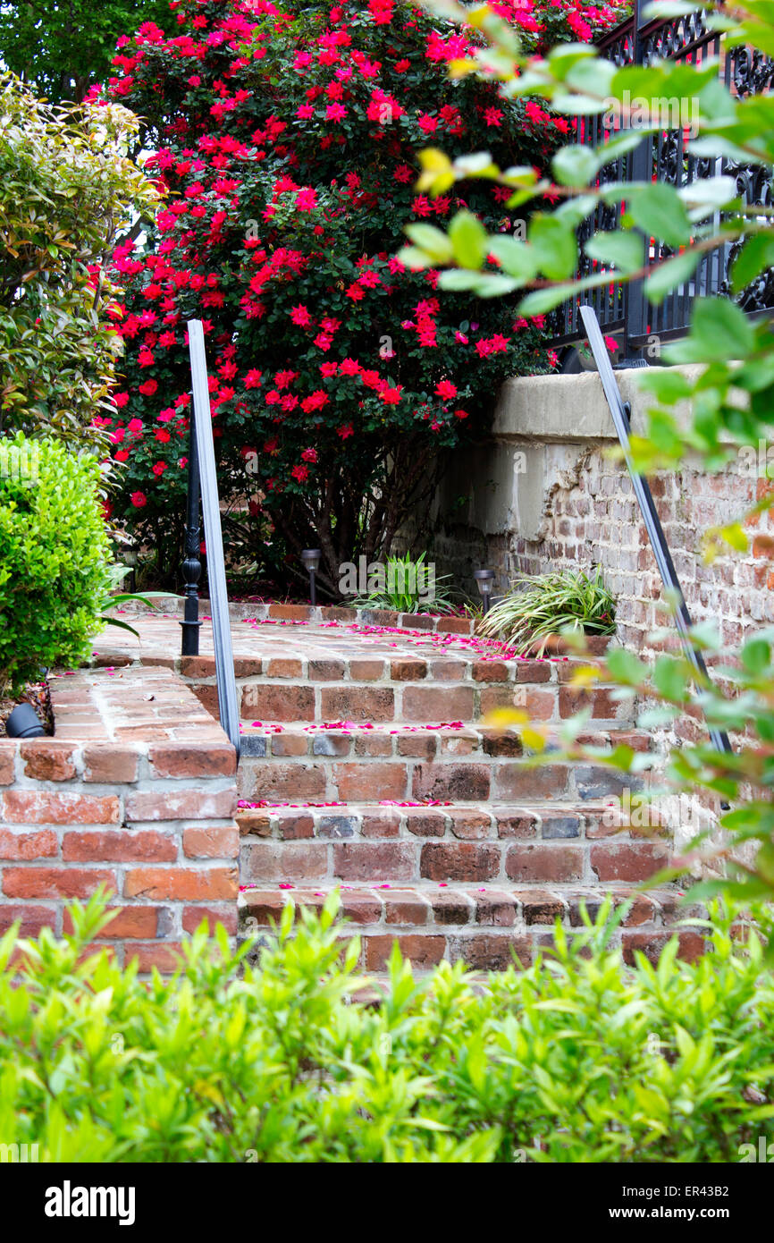 flower garden entry stairs Stock Photo - Alamy