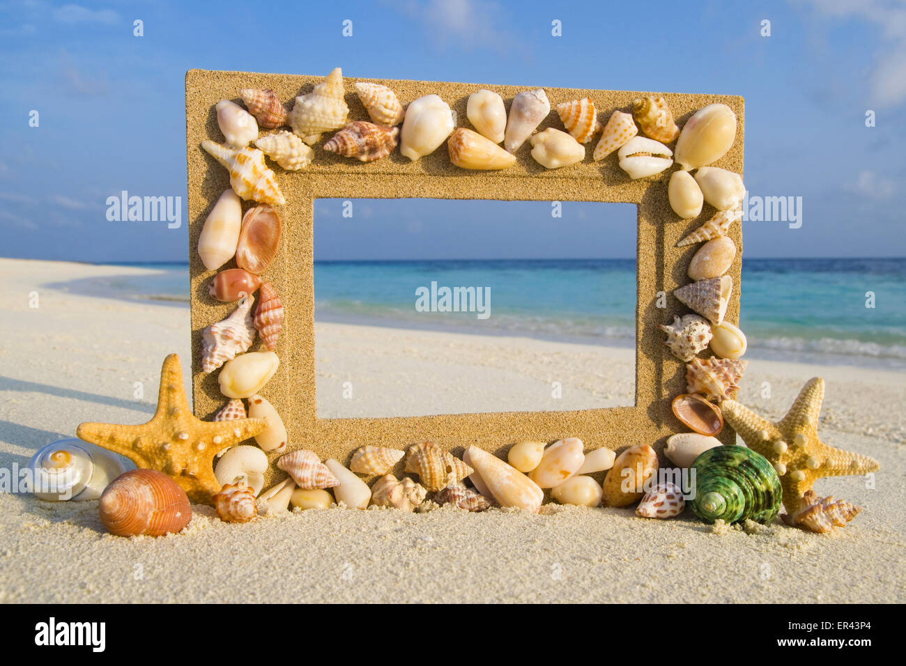 Sea shell sand frame by the beach Stock Photo - Alamy