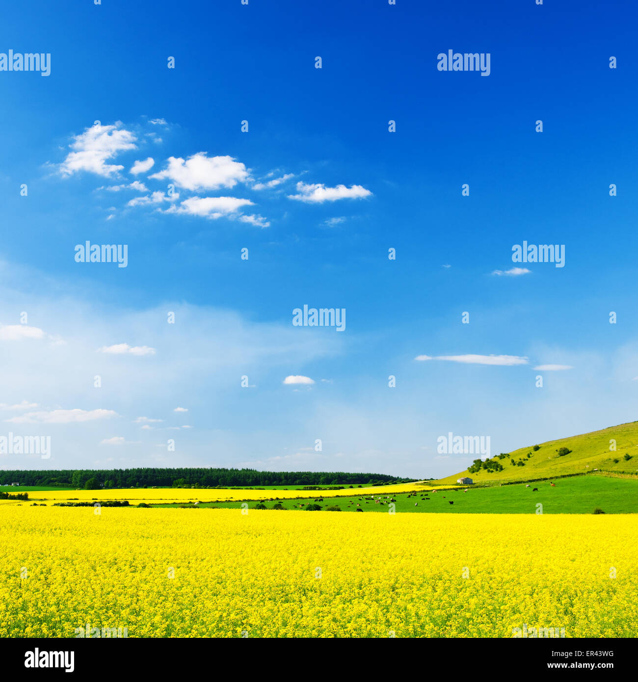 Idyllic summer landscape Stock Photo - Alamy
