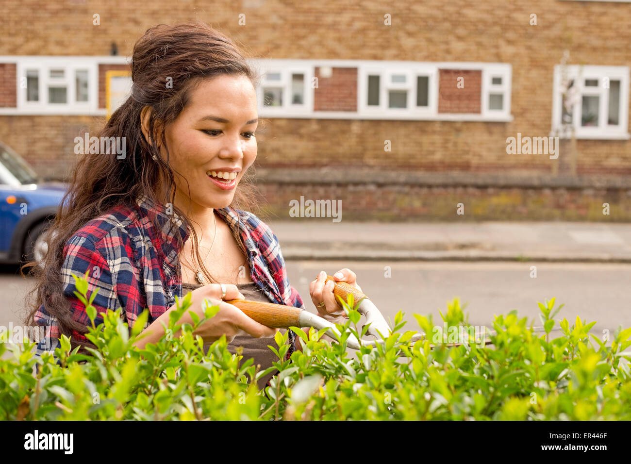 Cutting hedge hi-res stock photography and images - Alamy
