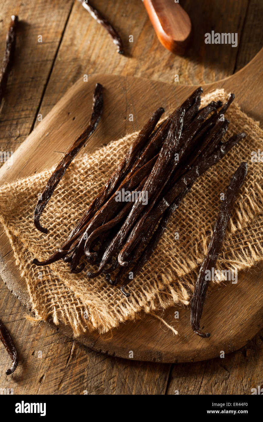 Vanilla beans plant hi-res stock photography and images - Alamy