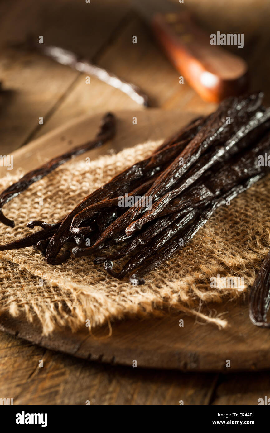 Raw Organic Vanilla Beans Ready to Cut Stock Photo - Alamy