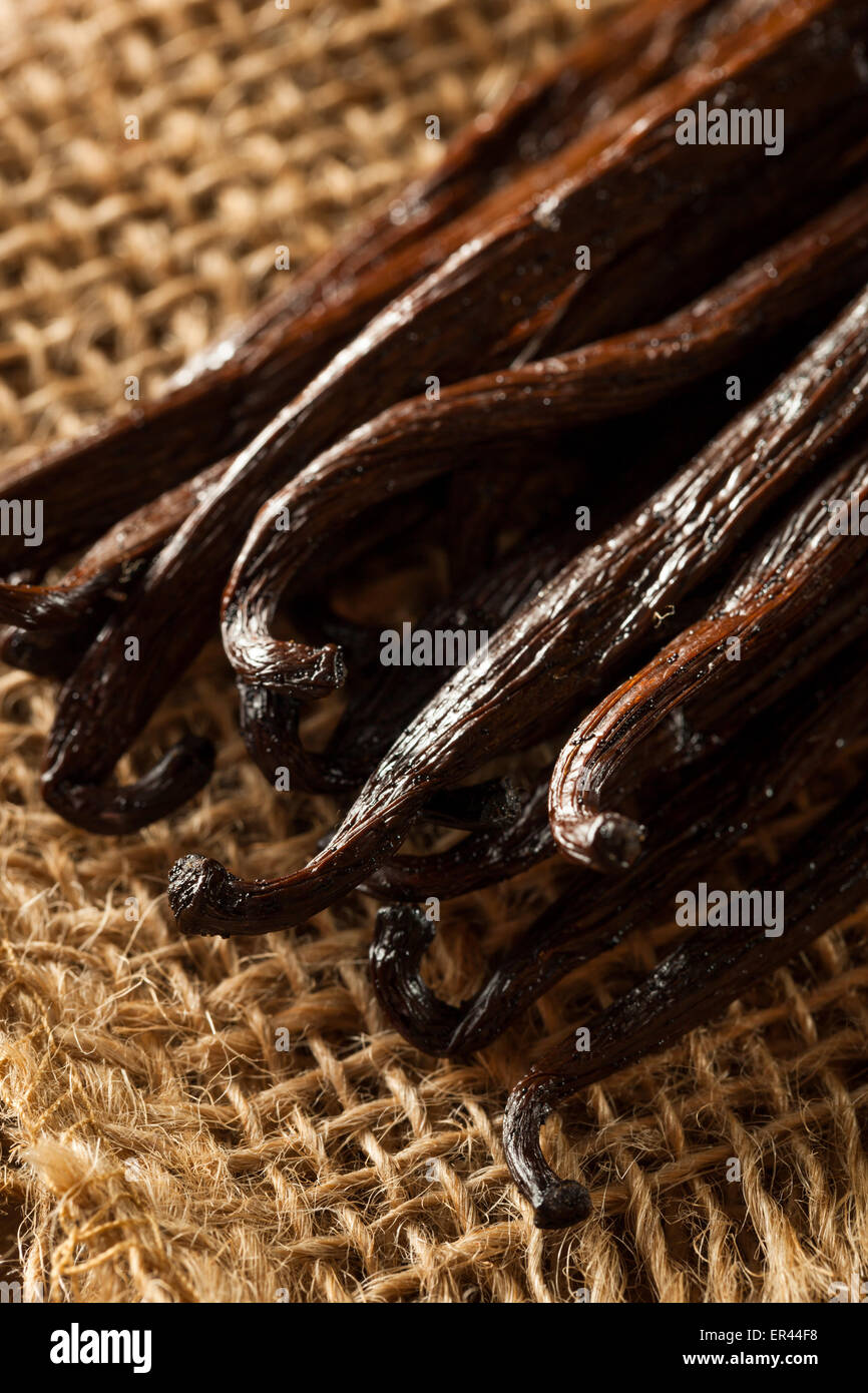 Raw Organic Vanilla Beans Ready to Cut Stock Photo - Alamy