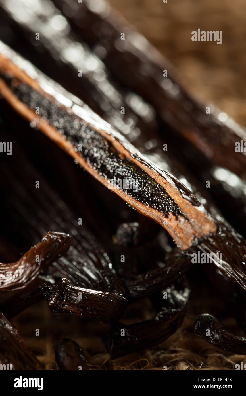 Raw Organic Vanilla Beans Ready to Cut Stock Photo - Alamy
