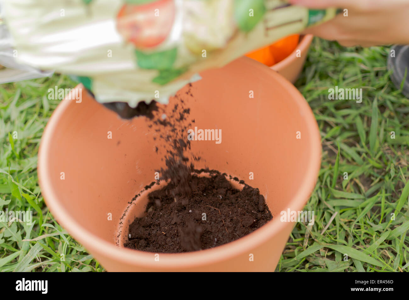 Gardener puts compost in a ceramic plant pot Stock Photo - Alamy