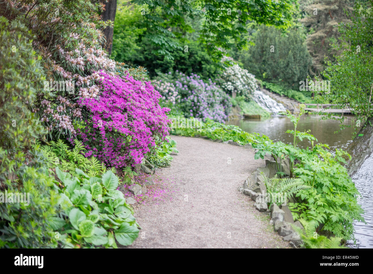 Botanical gardens in the spring Wroclaw Stock Photo - Alamy
