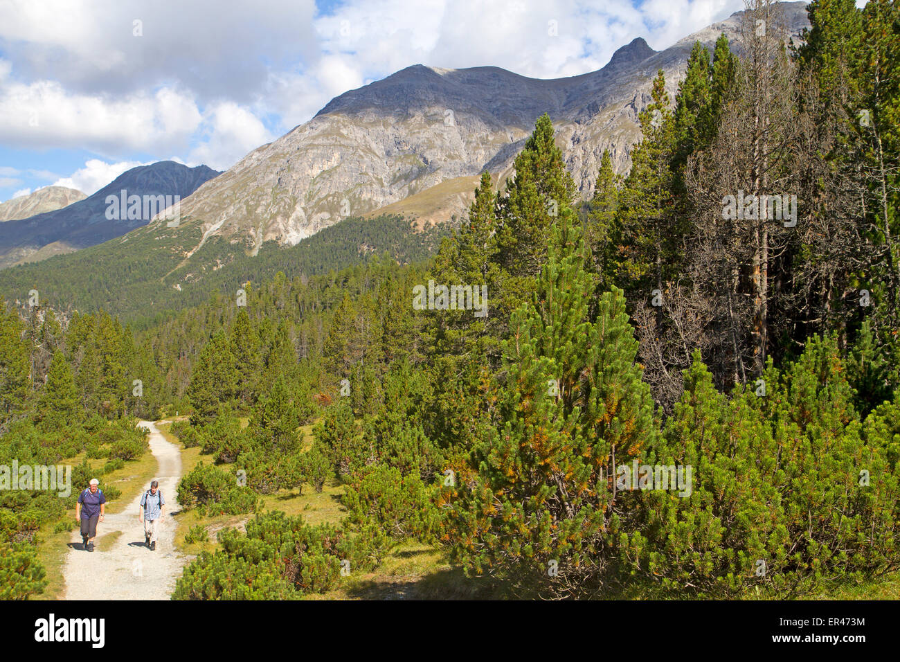 Hikers at Champlonch, an alpine plain in Swiss National Park Stock ...