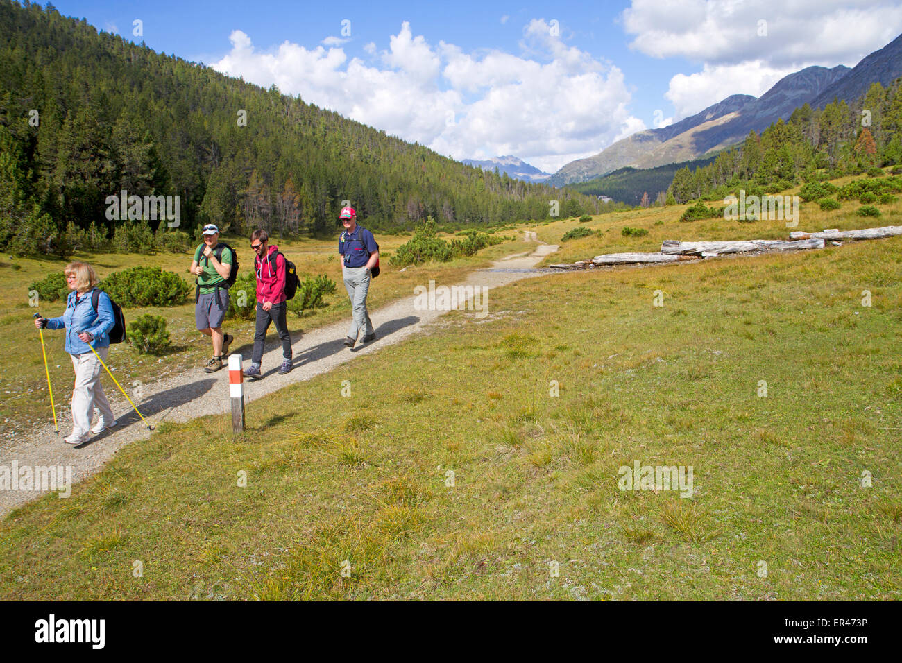 Hikers at Champlonch, an alpine plain in Swiss National Park Stock ...