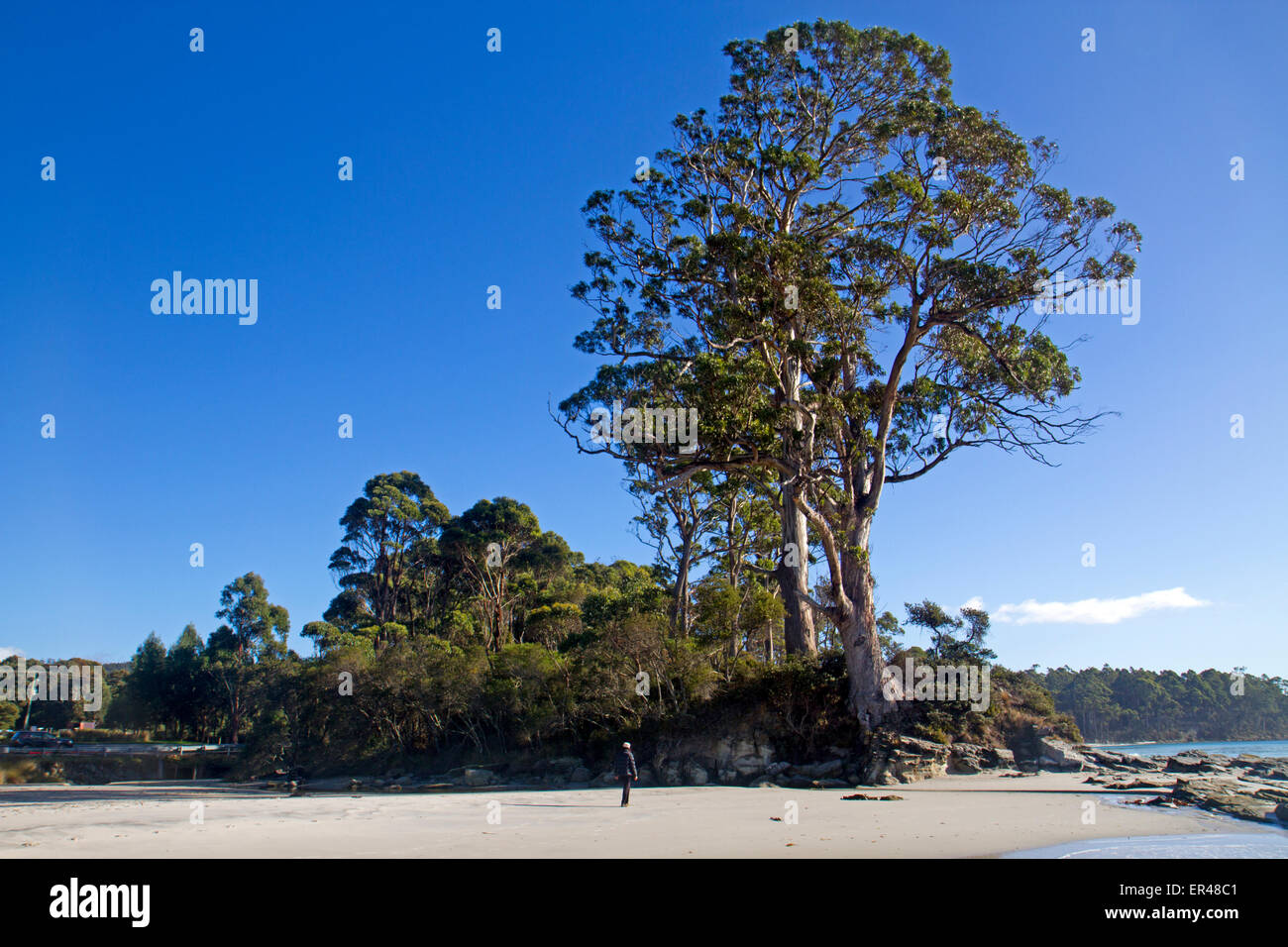 Two Tree Point on Adventure Bay Stock Photo - Alamy
