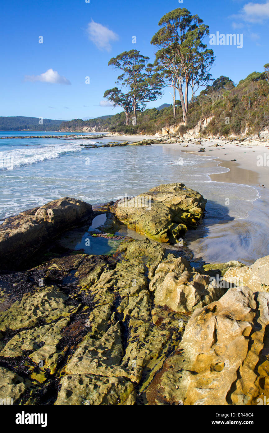 Two Tree Point on Adventure Bay Stock Photo - Alamy