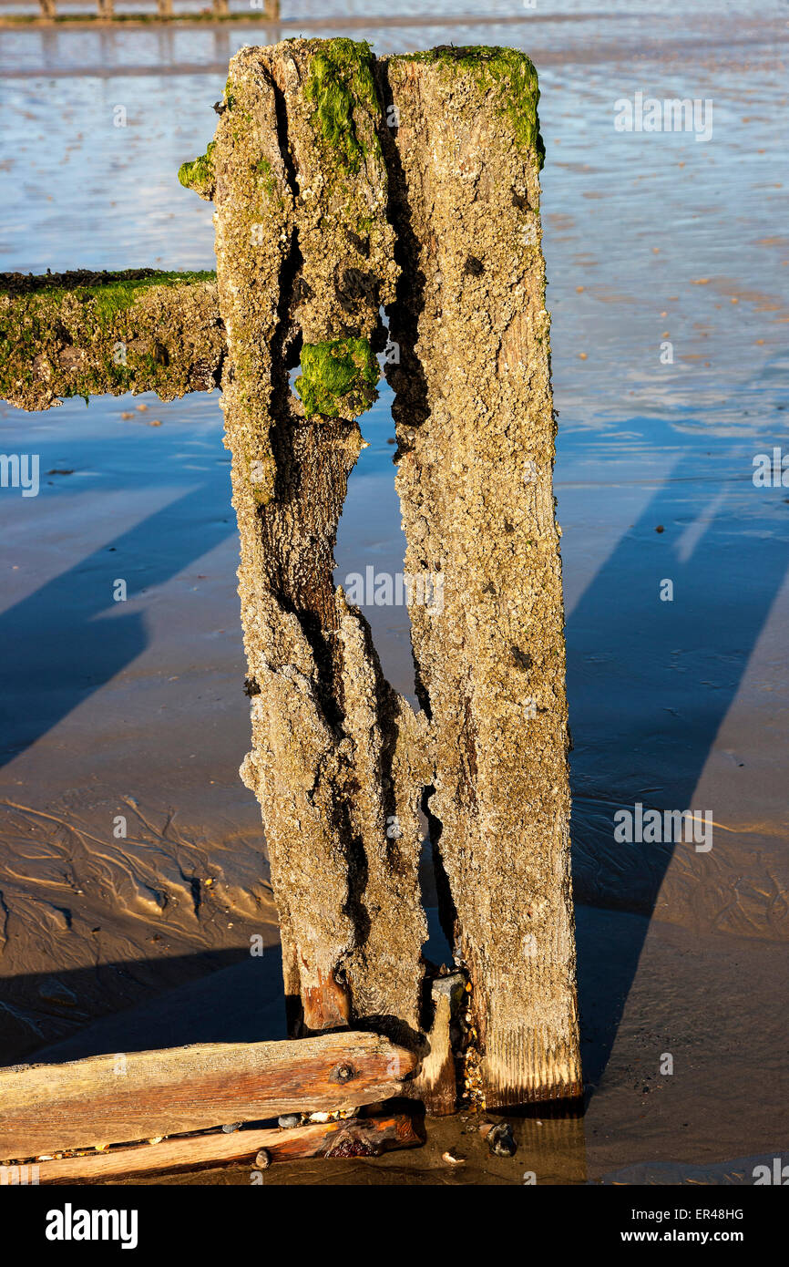 Weather beaten worn sea defenses defences Stock Photo - Alamy