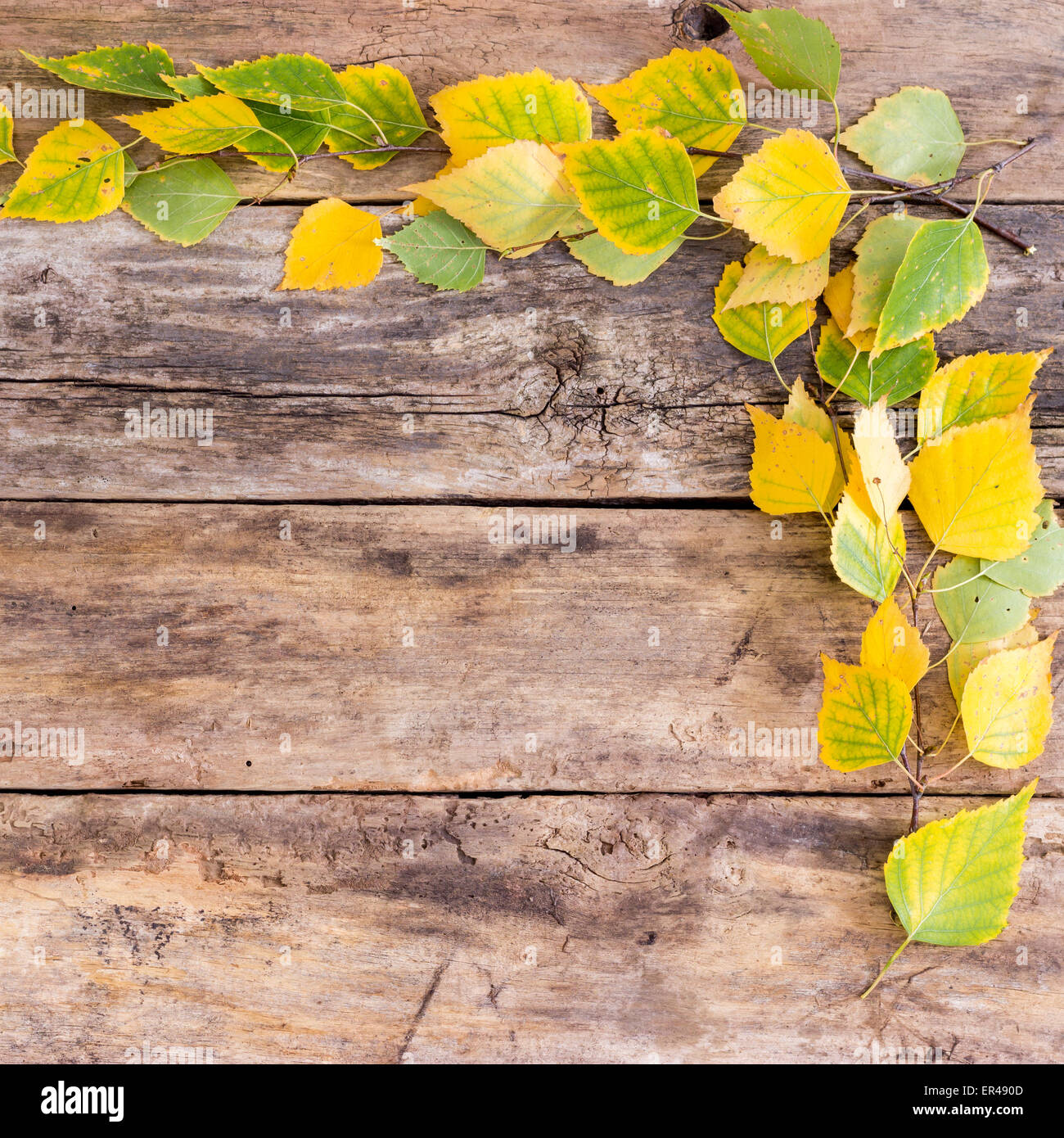 Colorful fall autumn leaves on wood background Stock Photo - Alamy