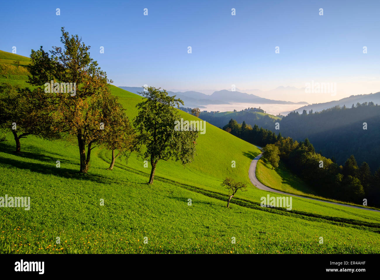 Bukov vrh, near Škofja loka, Slovenia. Škofja loka hills Stock Photo ...