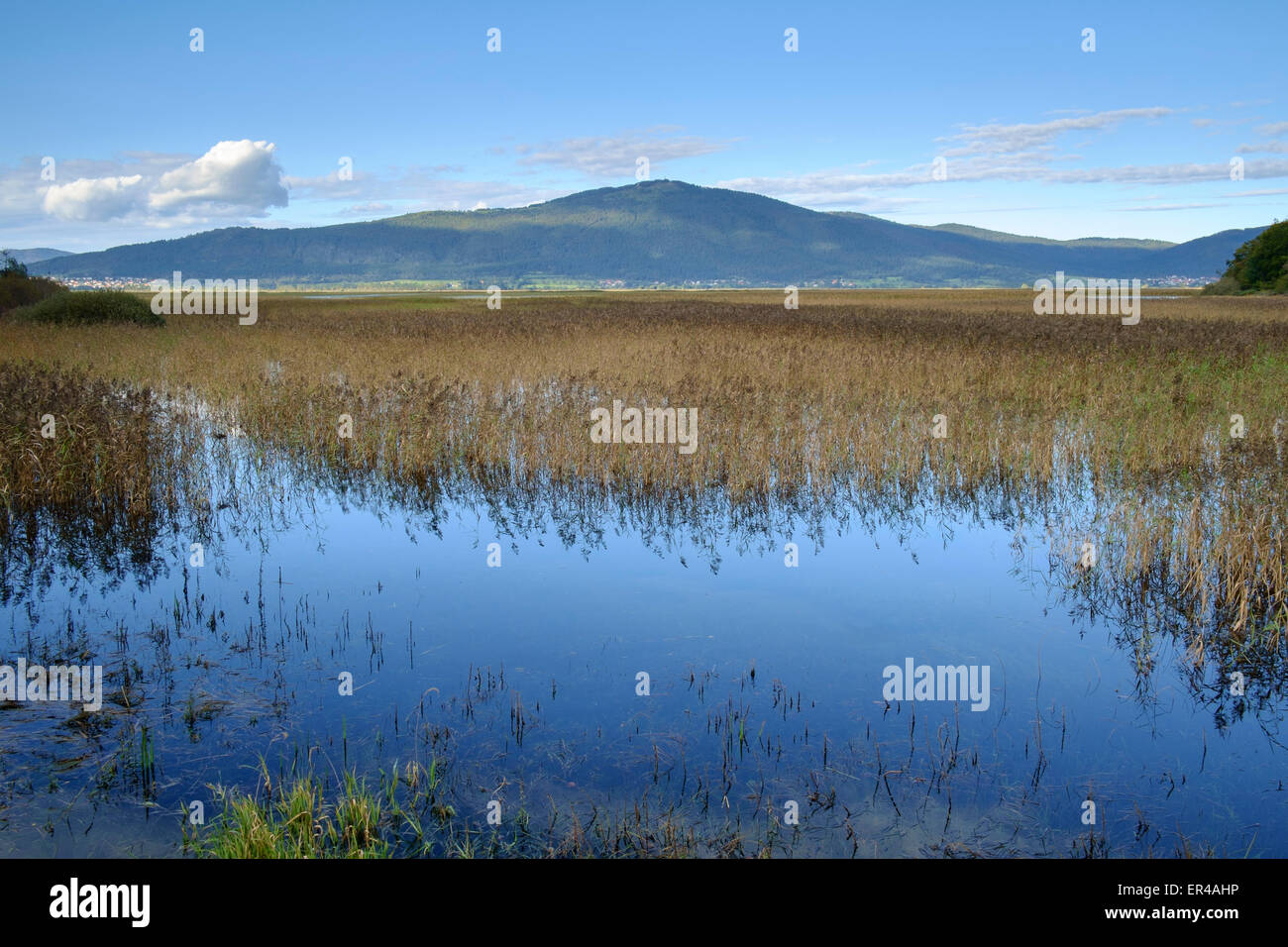 View of Cerknica lake with Slivnica mountain in the background Stock ...