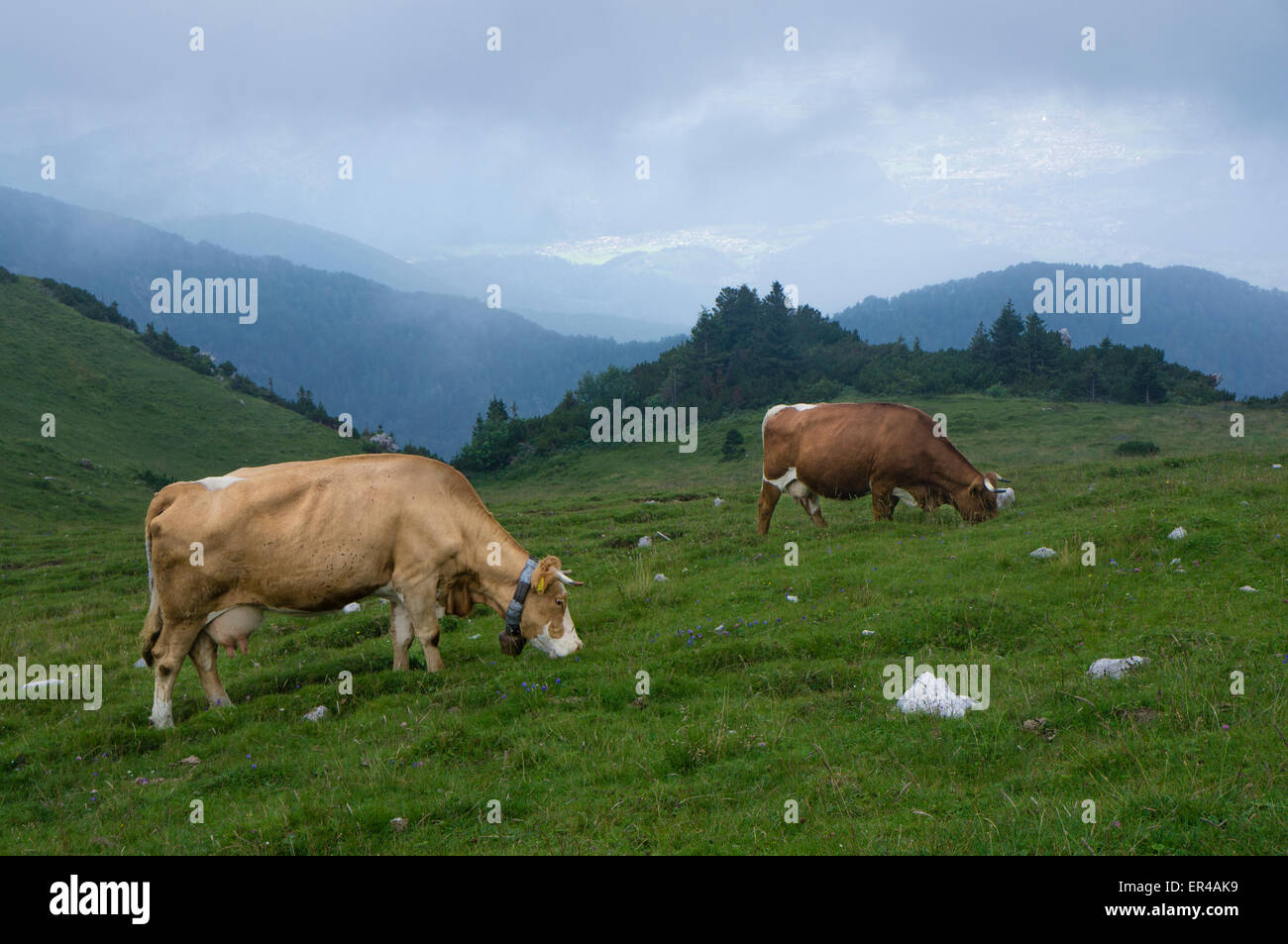 Velika planina (big pasture) near Kamnik is largest mountain pasture in ...