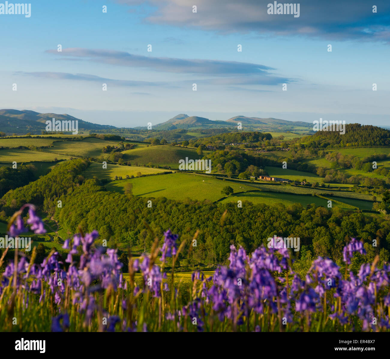 Spring Stock Photos & Images from Alamy