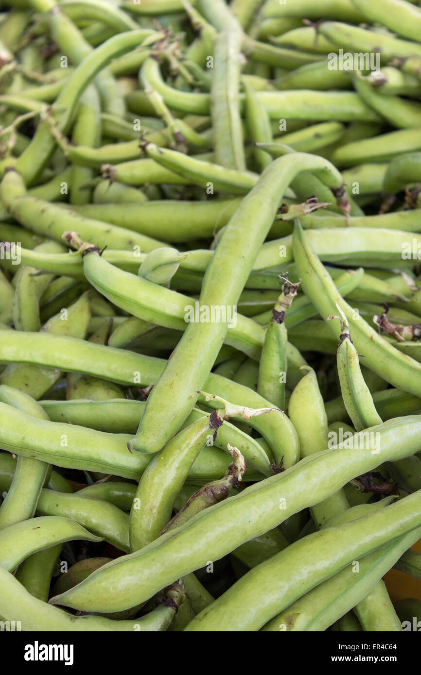 Green broad beans hi-res stock photography and images - Alamy