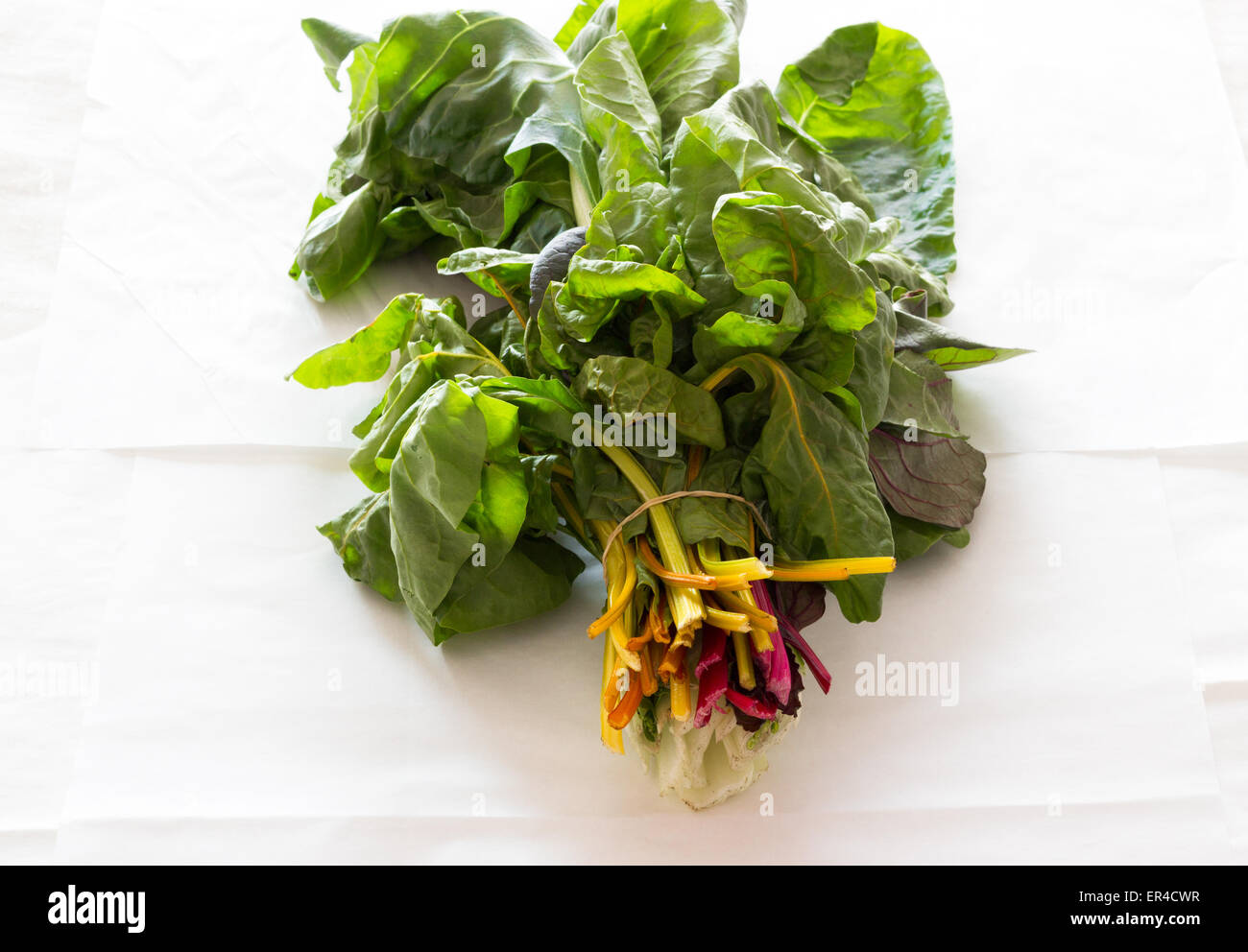 Swiss chard yellow close hi-res stock photography and images - Alamy