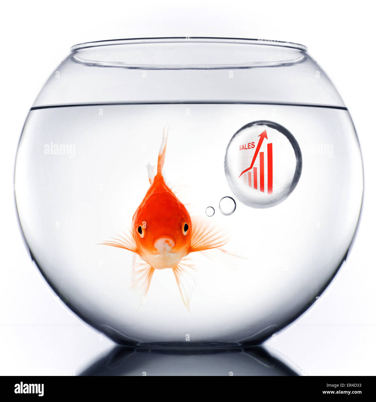 Smart Gold fish in bowl thinking about sales growth Stock Photo - Alamy