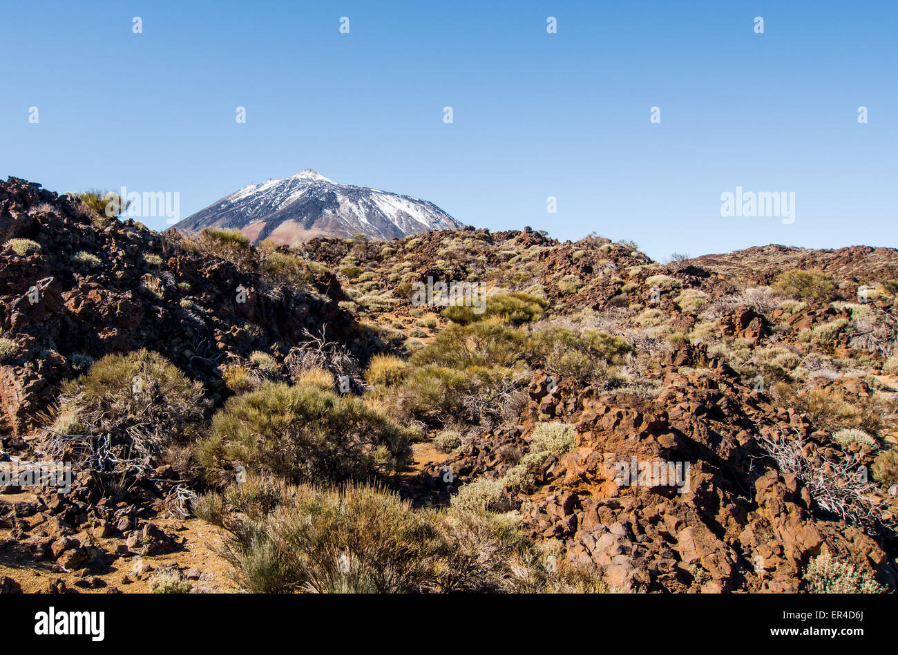 Scenic view of volcano Teide Stock Photo - Alamy