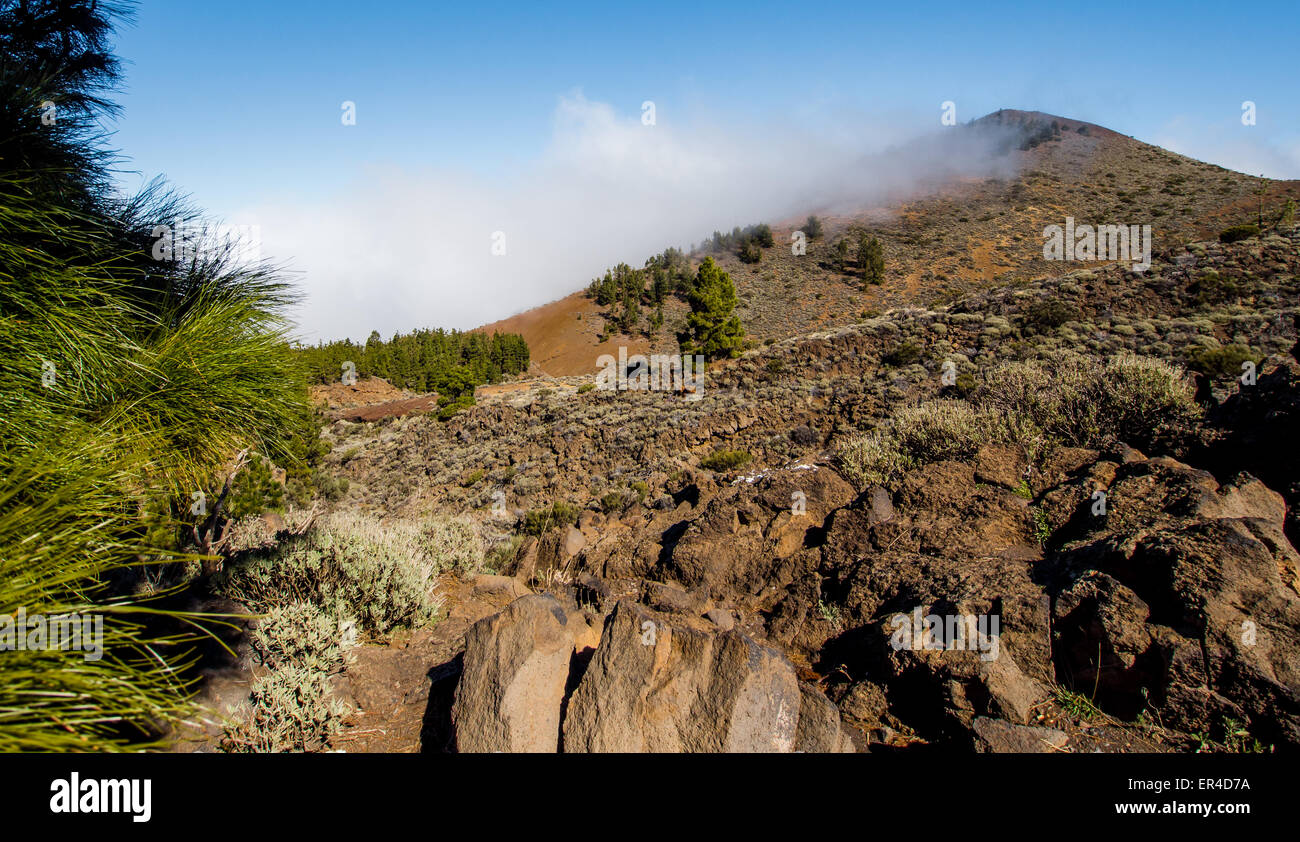 Northern slope hi-res stock photography and images - Alamy