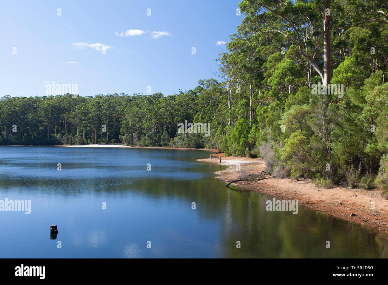 Big Brook Dam and lake near Pemberton in Western Australia Stock Photo ...