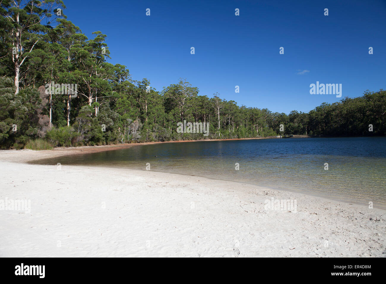 Big Brook Dam and lake near Pemberton in Western Australia Stock Photo ...