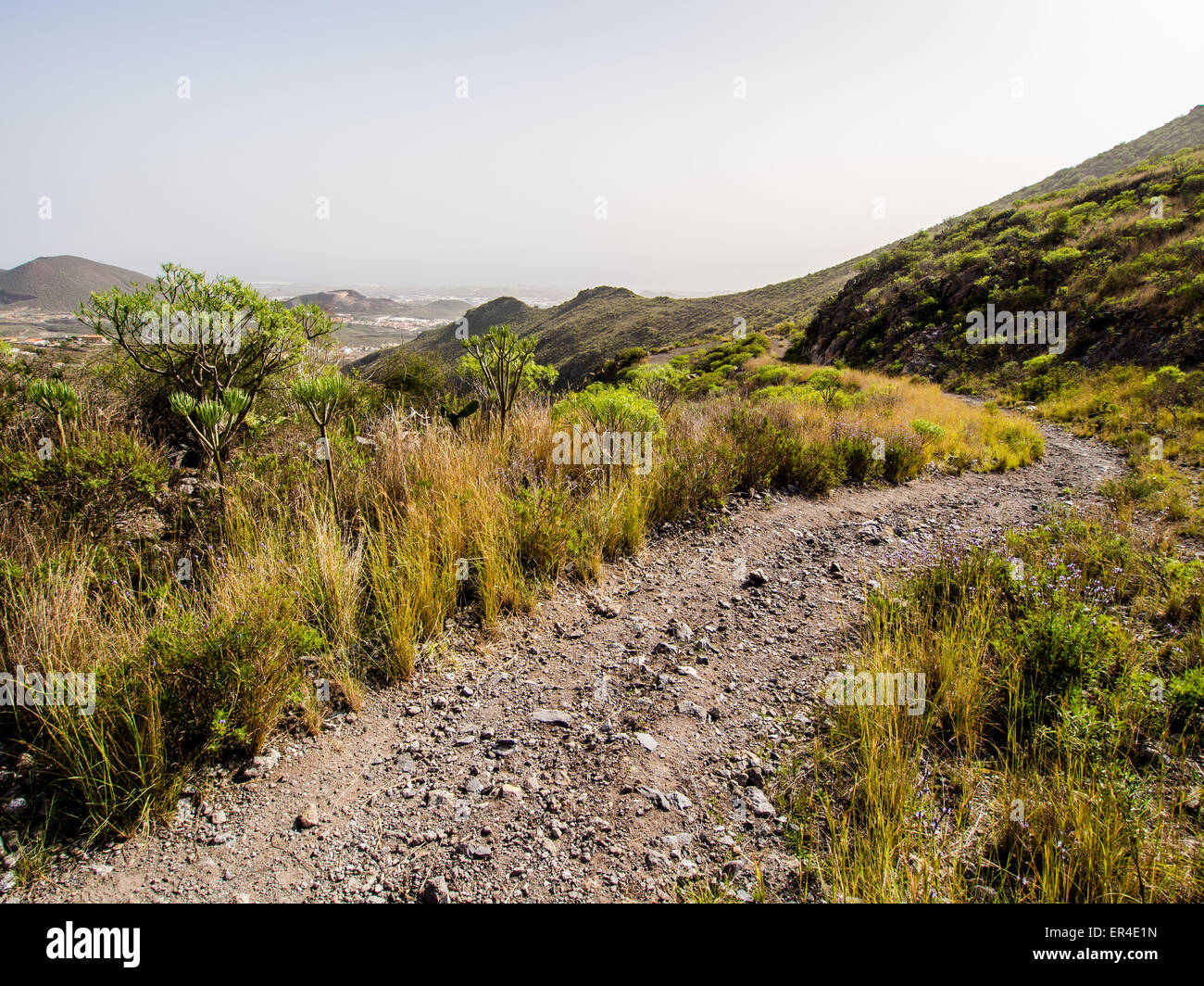 Tenerife canary islands landscape hi-res stock photography and images ...