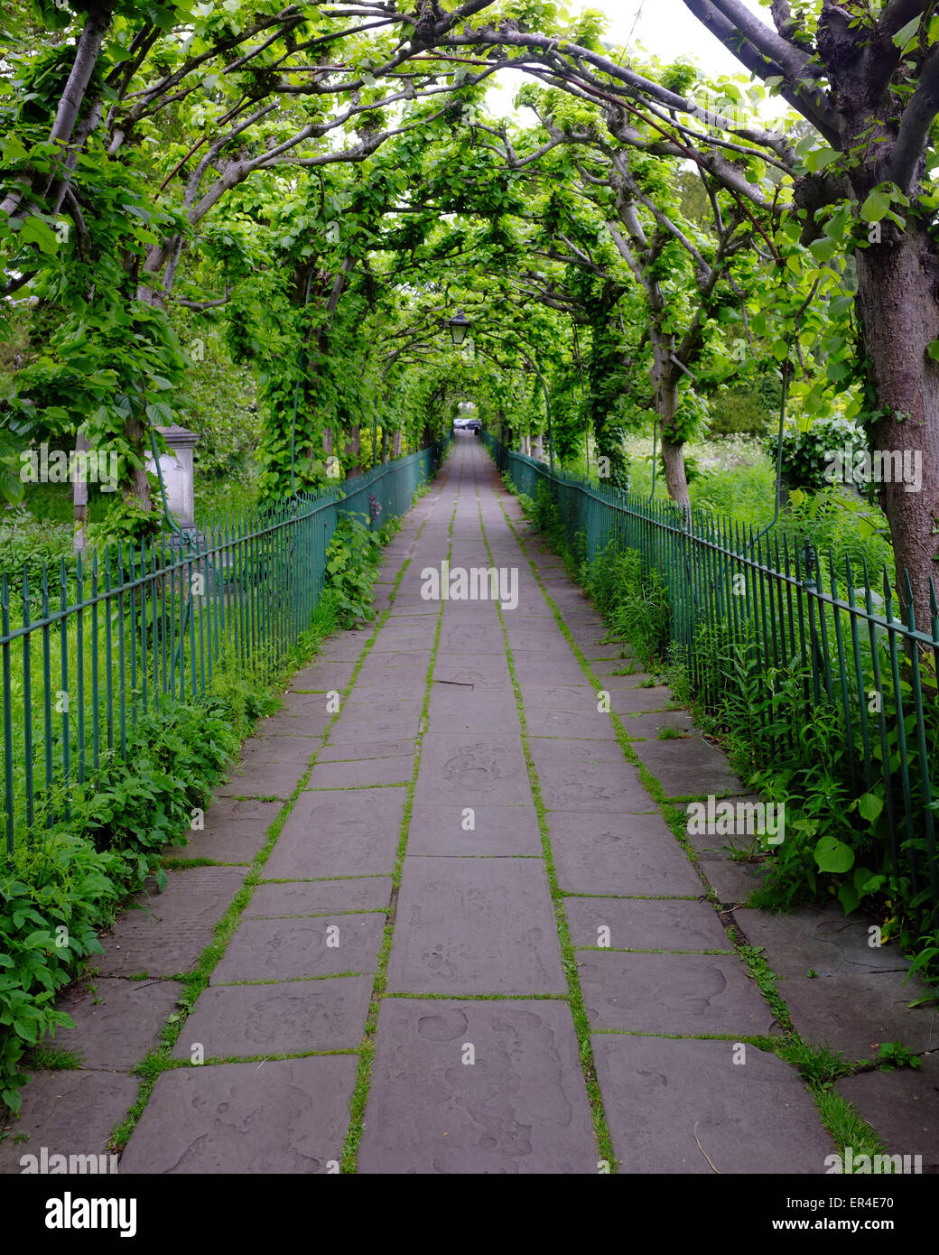 Arched trees hi-res stock photography and images - Alamy