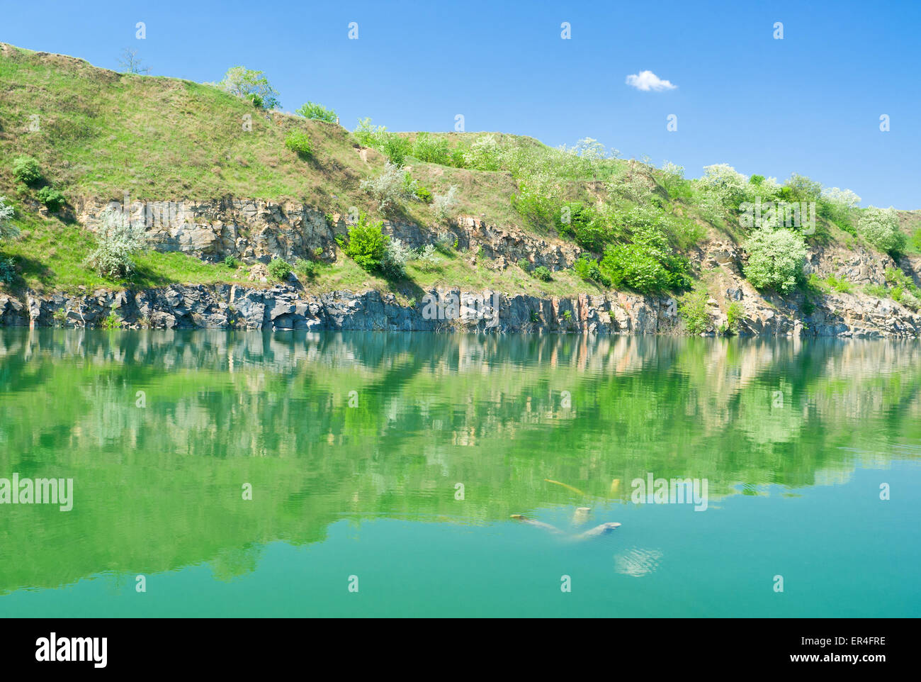 Spring landscape with green lake Stock Photo - Alamy