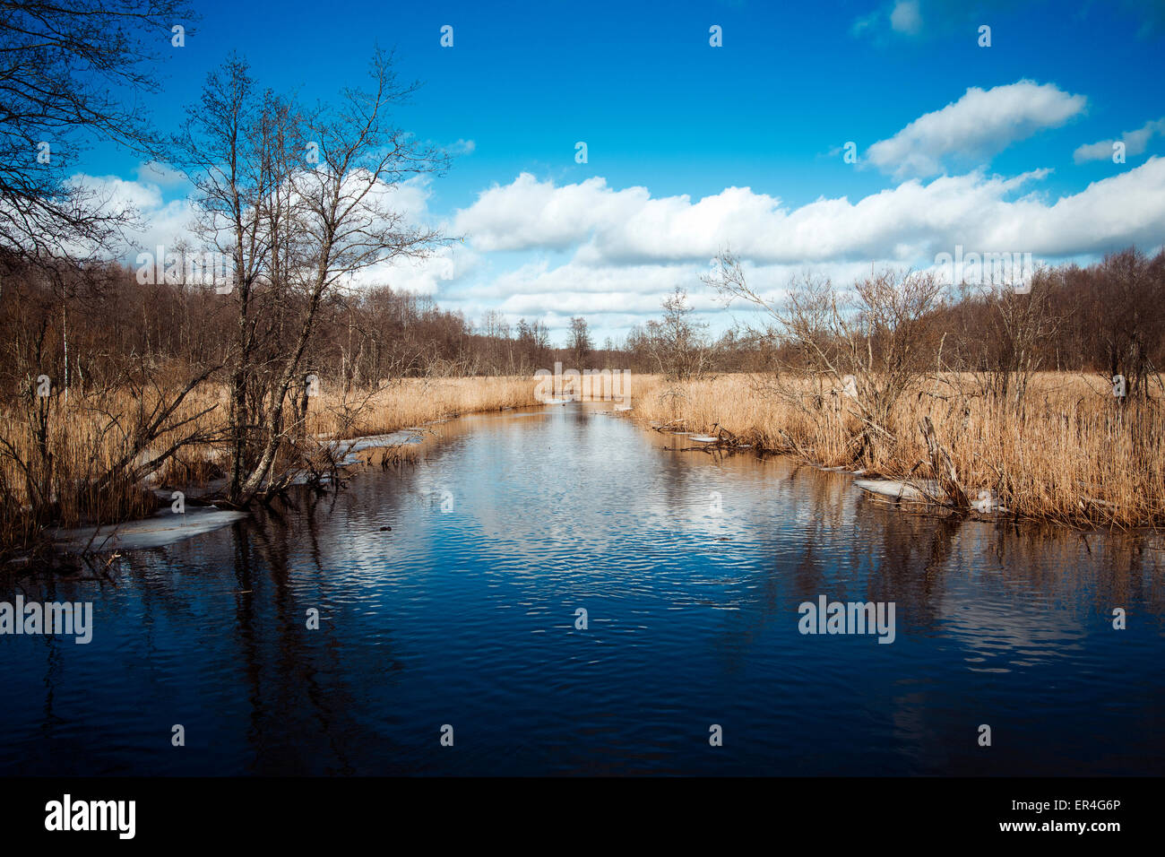 Reeds and explore hi-res stock photography and images - Alamy