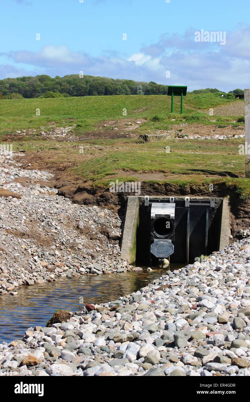 Ajgb low tide hi-res stock photography and images - Alamy