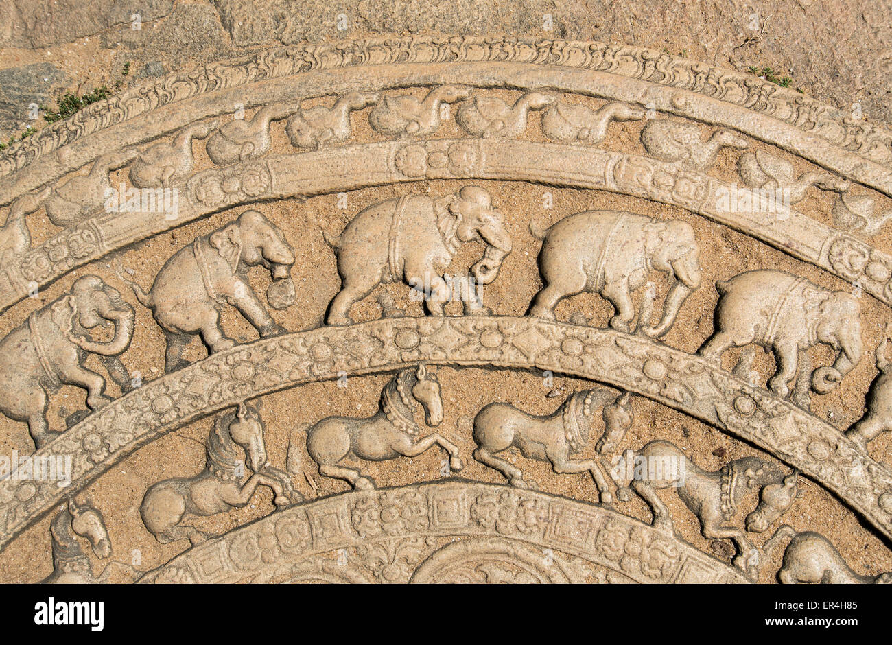 Sandakada Pahana or Moon-stone Slab, Vatadage House, Sacred Quadrangle ...