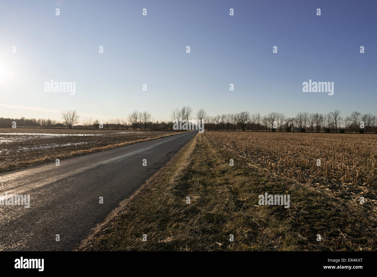 Rural Country Road Through Cornfield in Winter, Indiana, USA Stock ...