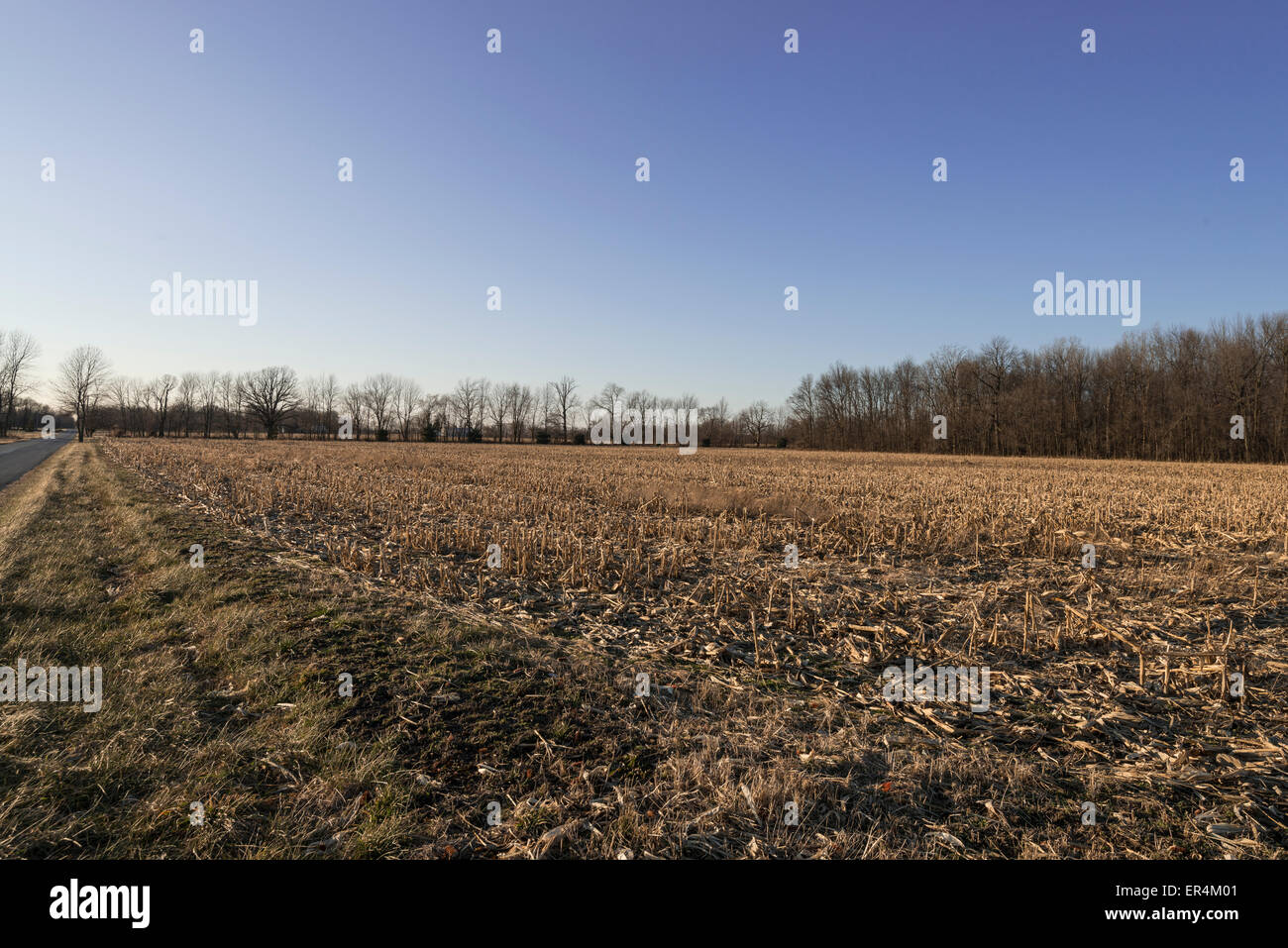 Cornfield In Winter Fallow Stock Photo - Alamy
