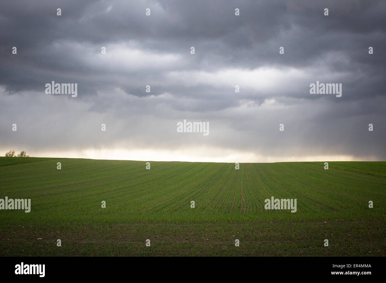 Tornado field hi-res stock photography and images - Alamy