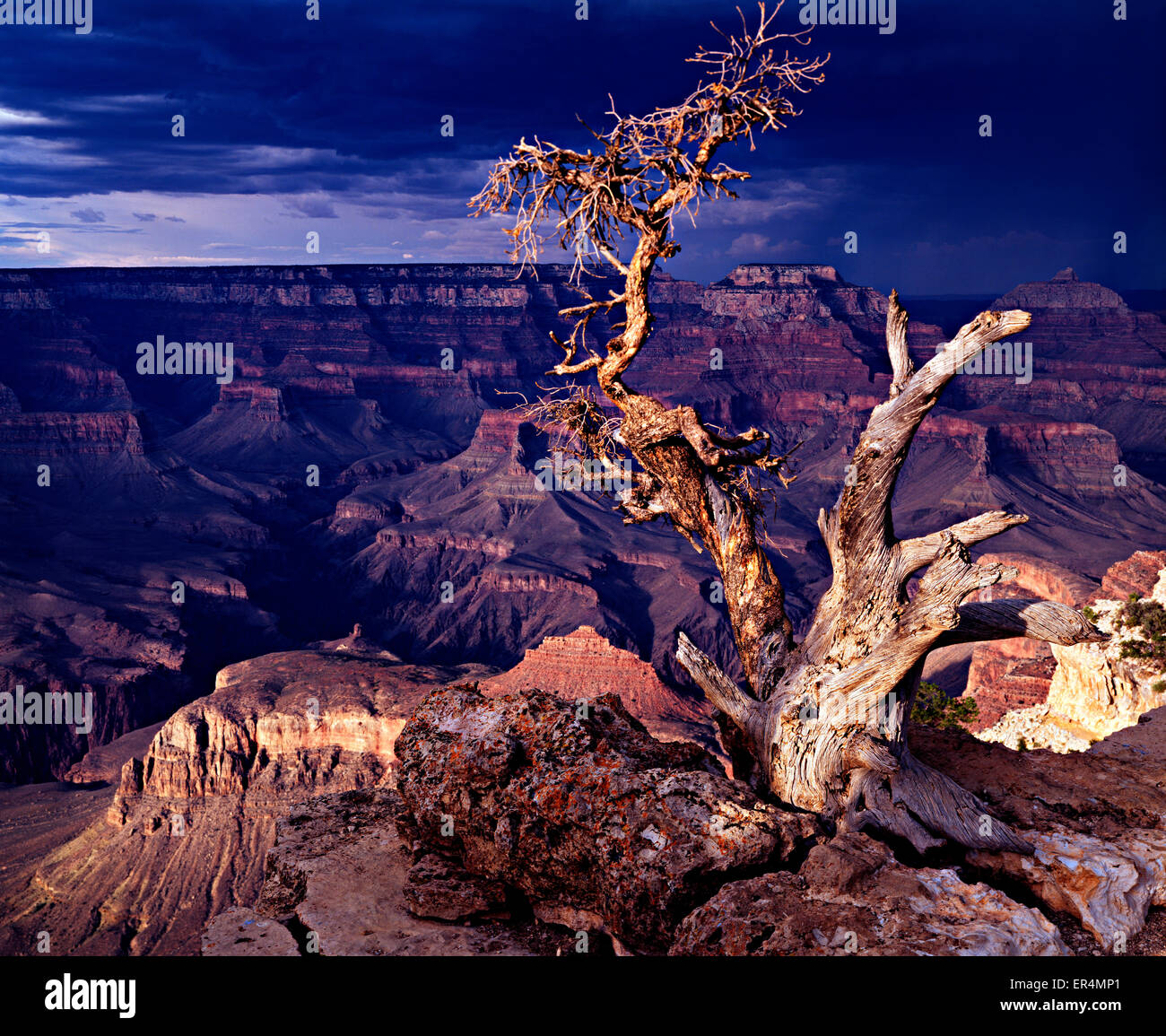 Grand Canyon from Yaki Point. I took this image with a 4x5" large ...