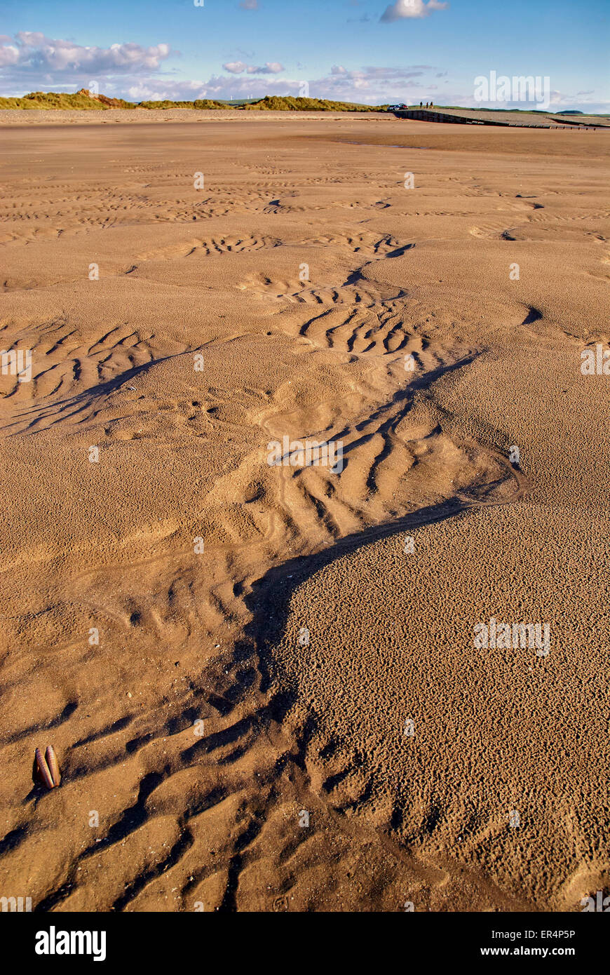Sand patterns at Ynyslas beach, Ceredigion, Wales, UK Stock Photo - Alamy