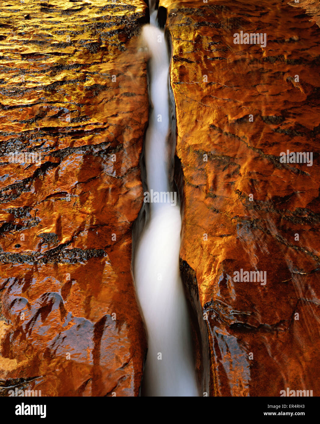 Running water through a crack in the ground in a canyon in Utah. I took ...