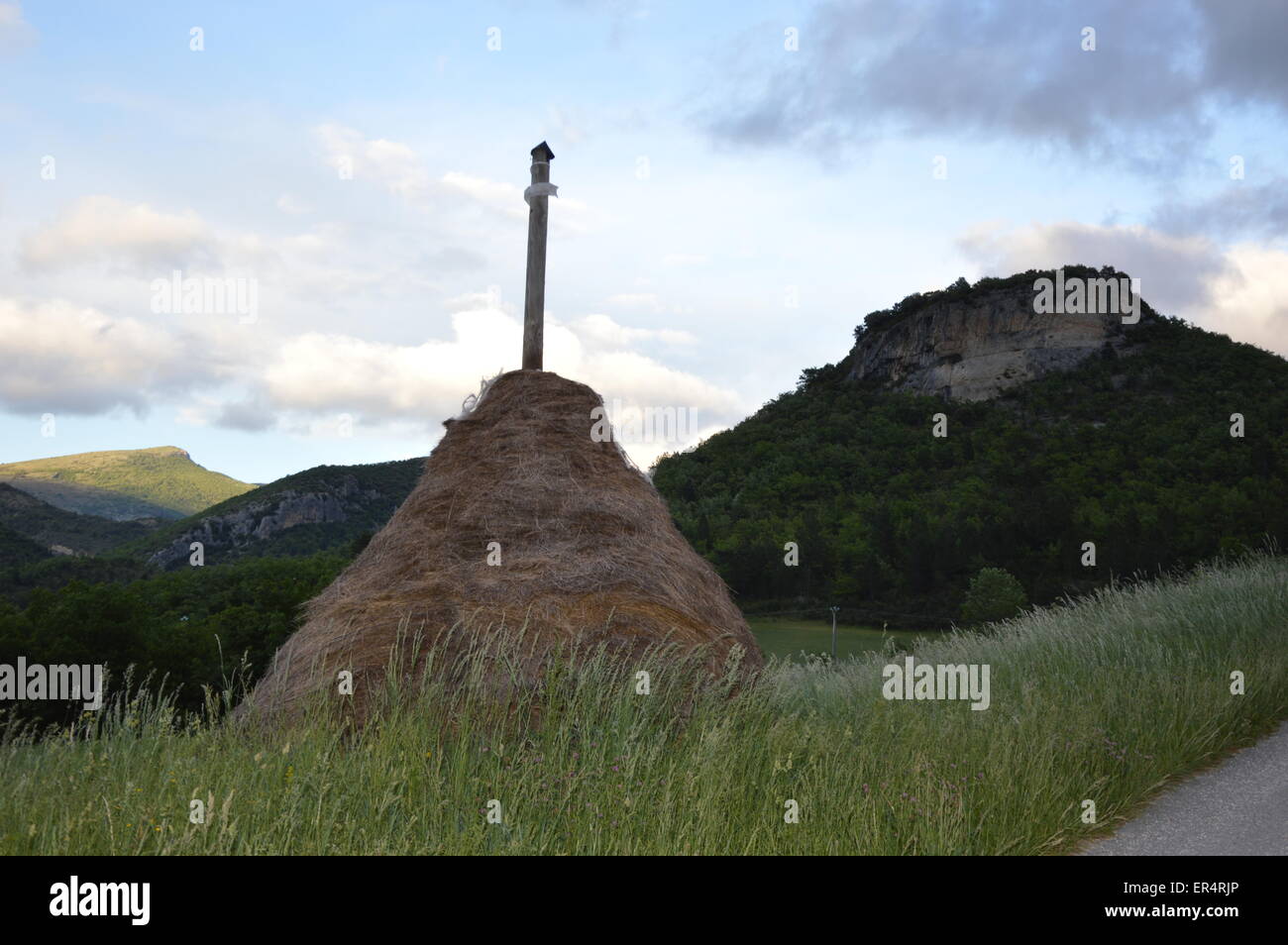 A mast in a haystack in the south of France,pole Stock Photo - Alamy