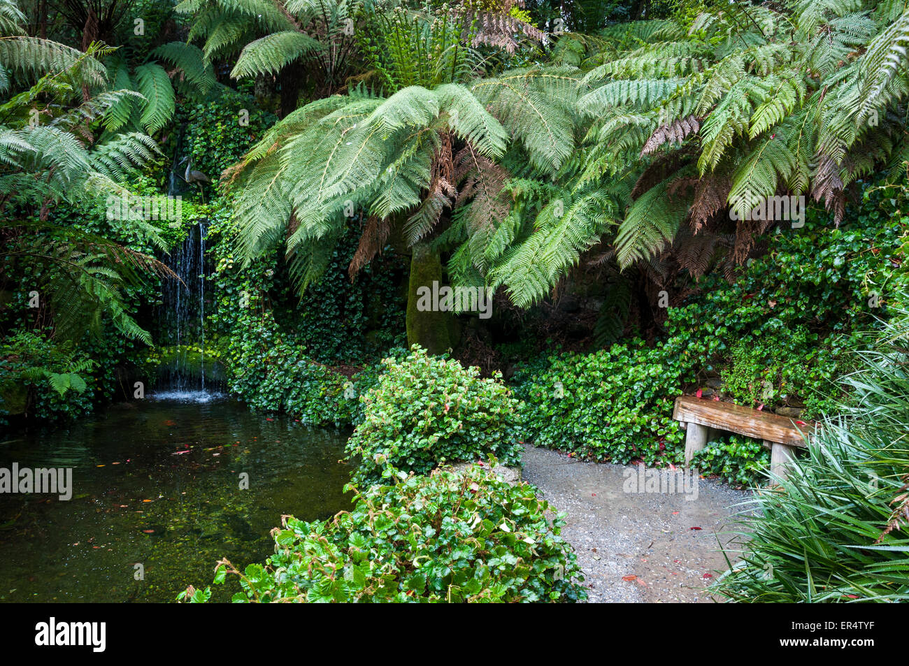 Wooden bench beside a pool surrounded by lush green planting. Tree ...