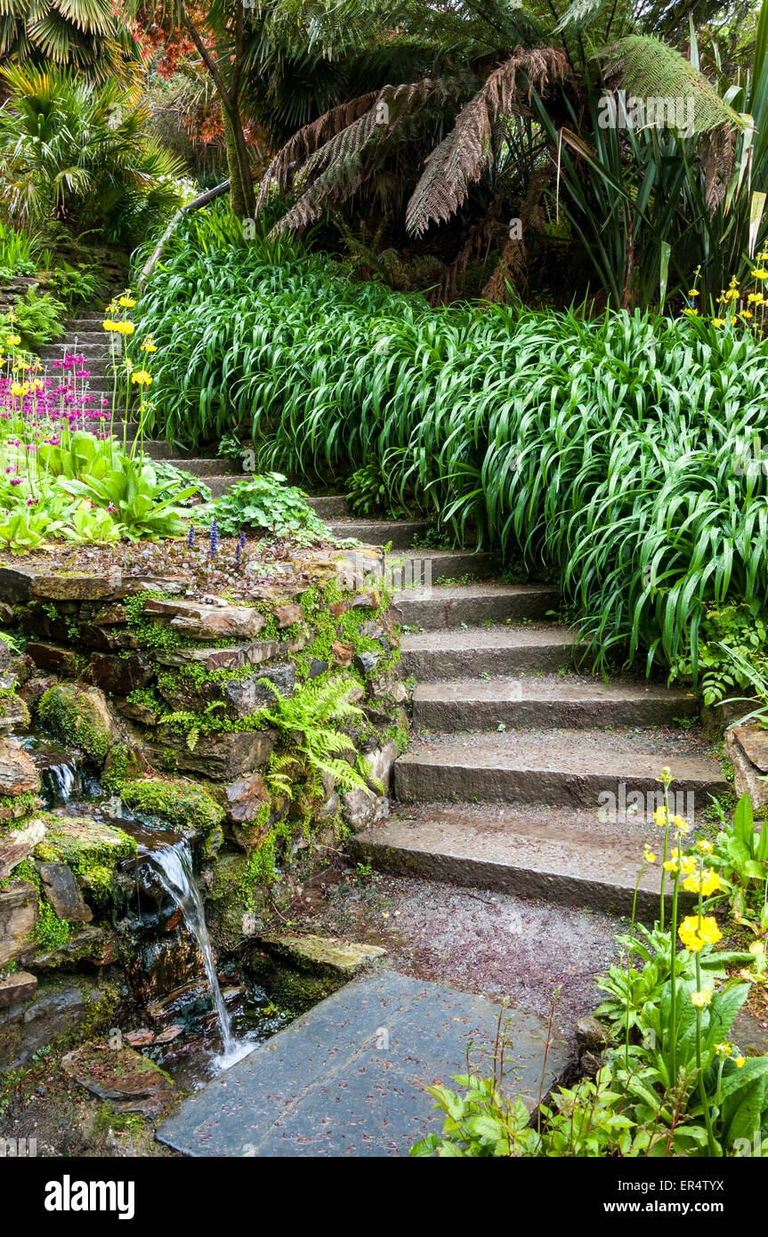 Beautiful stream garden at Trebah gardens spring with colourful ...