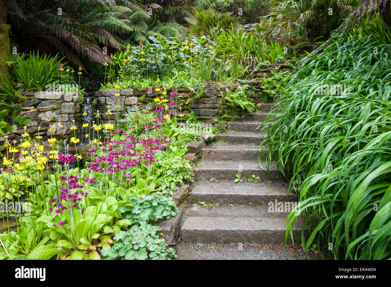 Beautiful stream garden at Trebah gardens spring with colourful ...
