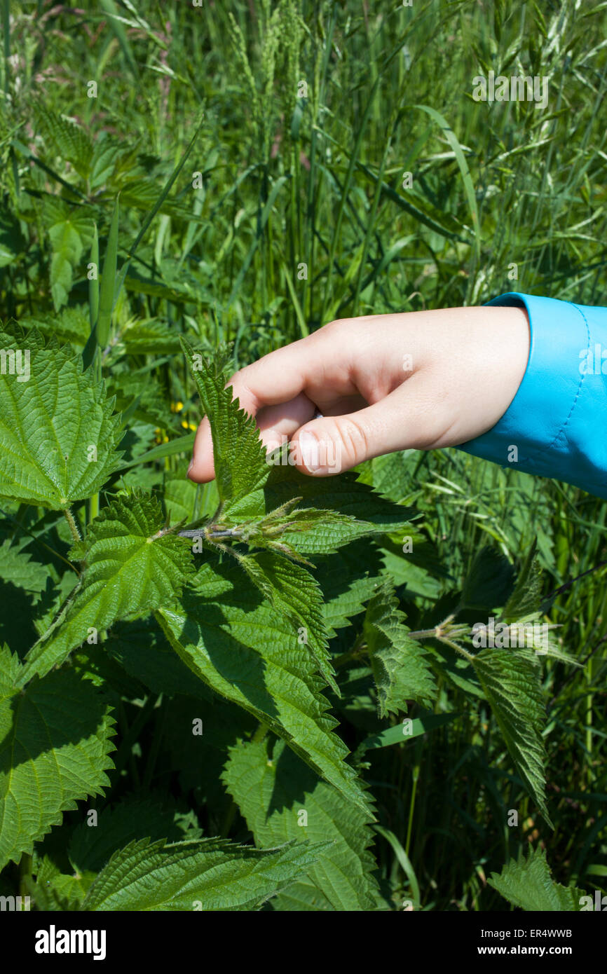 Nettle rash hi-res stock photography and images - Alamy