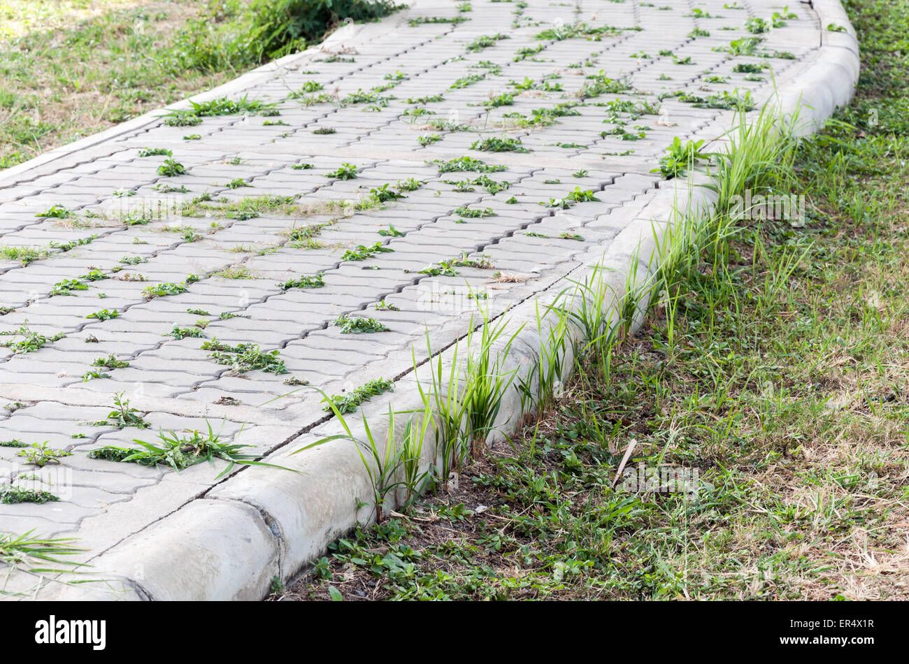 Brick Path Stock Photos & Brick Path Stock Images - Alamy