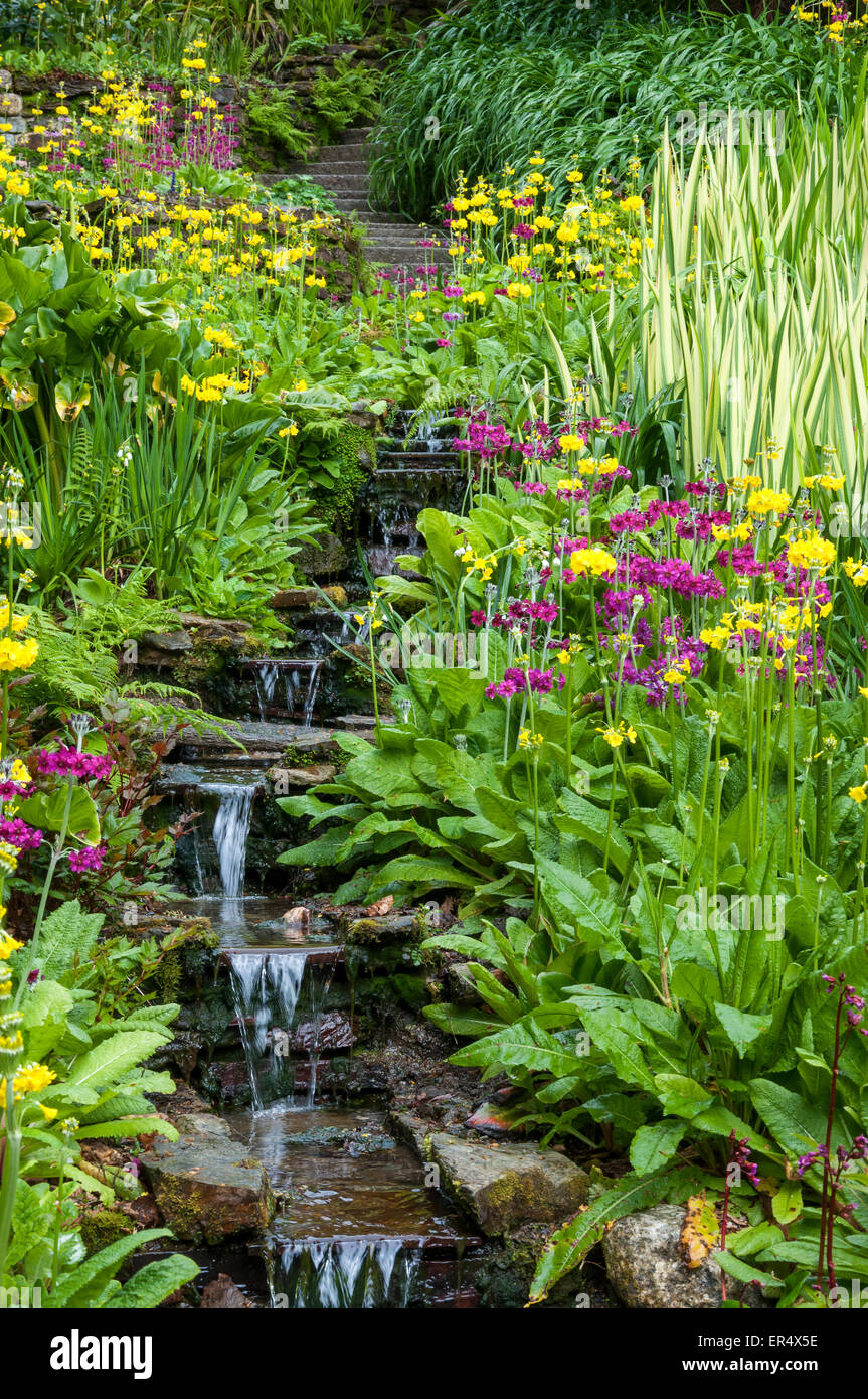 Colourful water gardens hi-res stock photography and images - Alamy