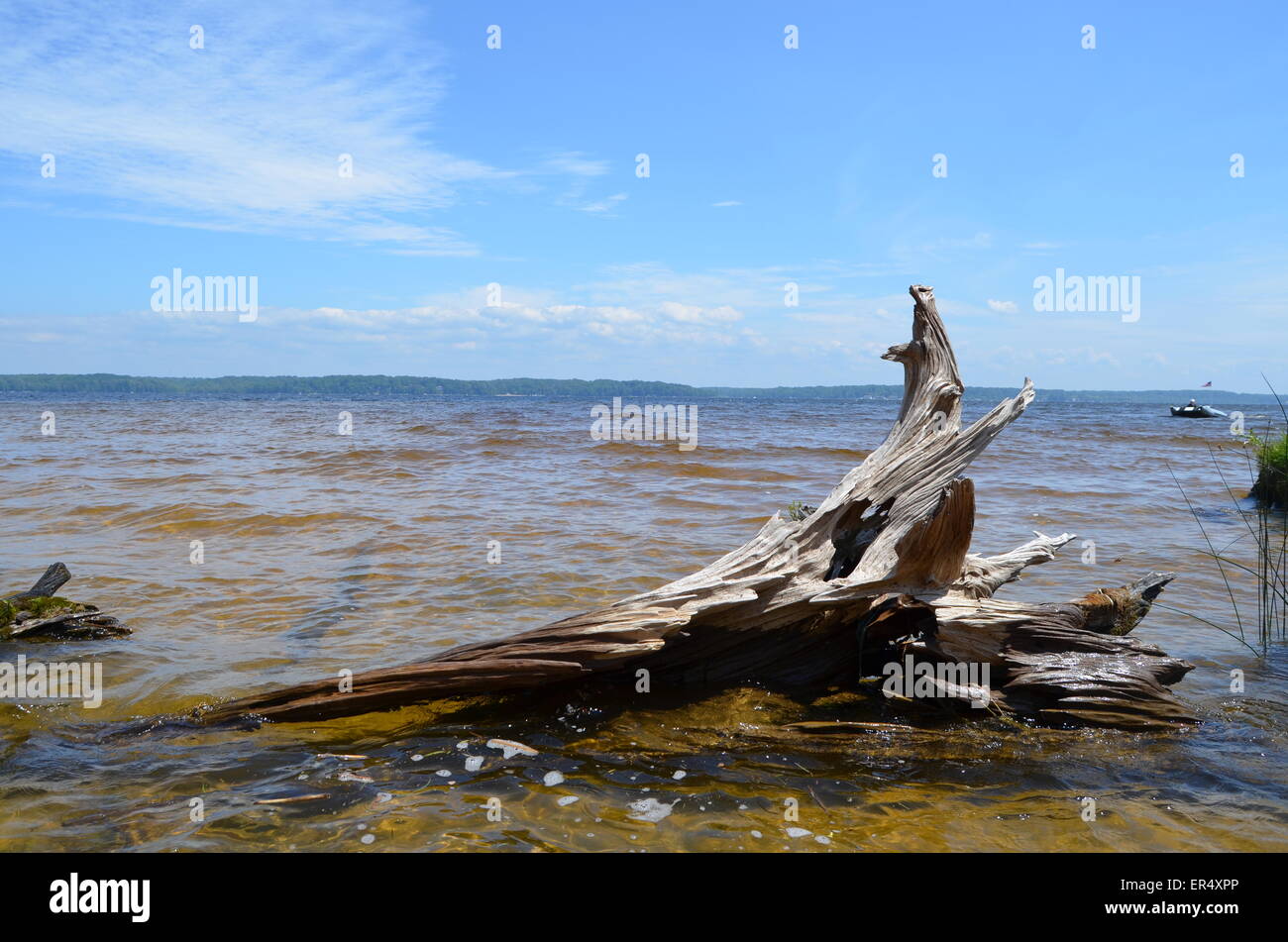 Hamlin beach hi-res stock photography and images - Alamy