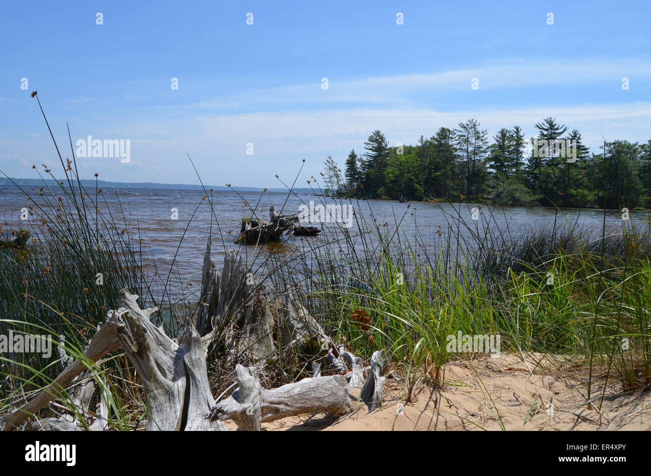 Hamlin beach hi-res stock photography and images - Alamy