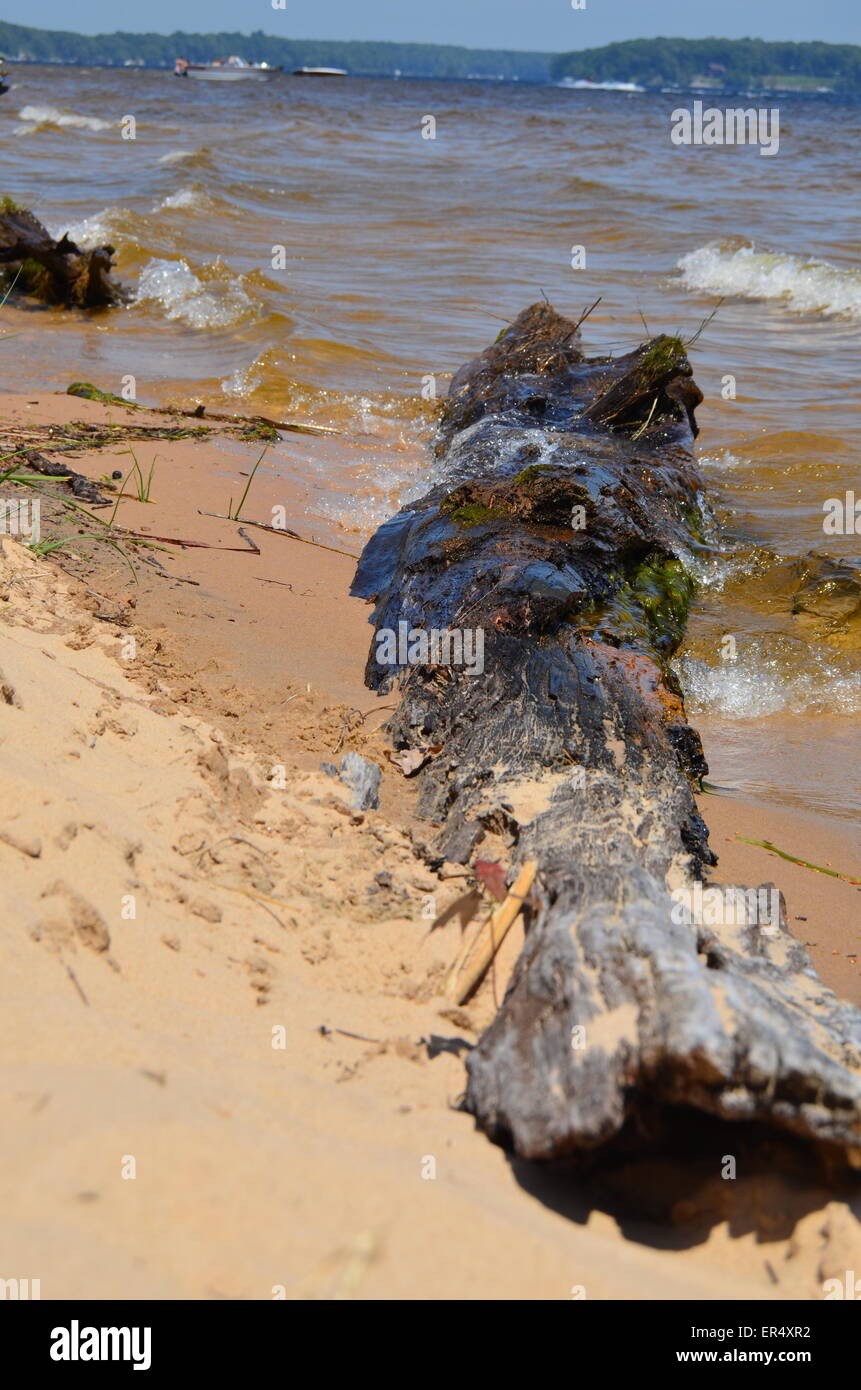 Hamlin beach hi-res stock photography and images - Alamy