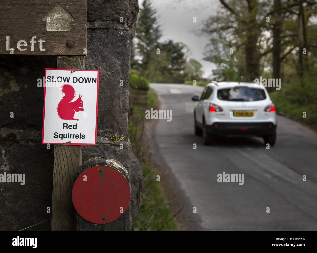 Slow red squirrels sign hi-res stock photography and images - Alamy